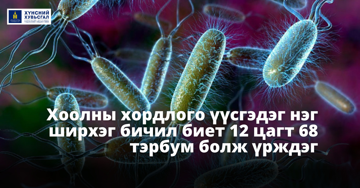 Хоолны хордлого үүсгэдэг нэг ширхэг бичил биет 12 цагт 68 тэрбум болж
