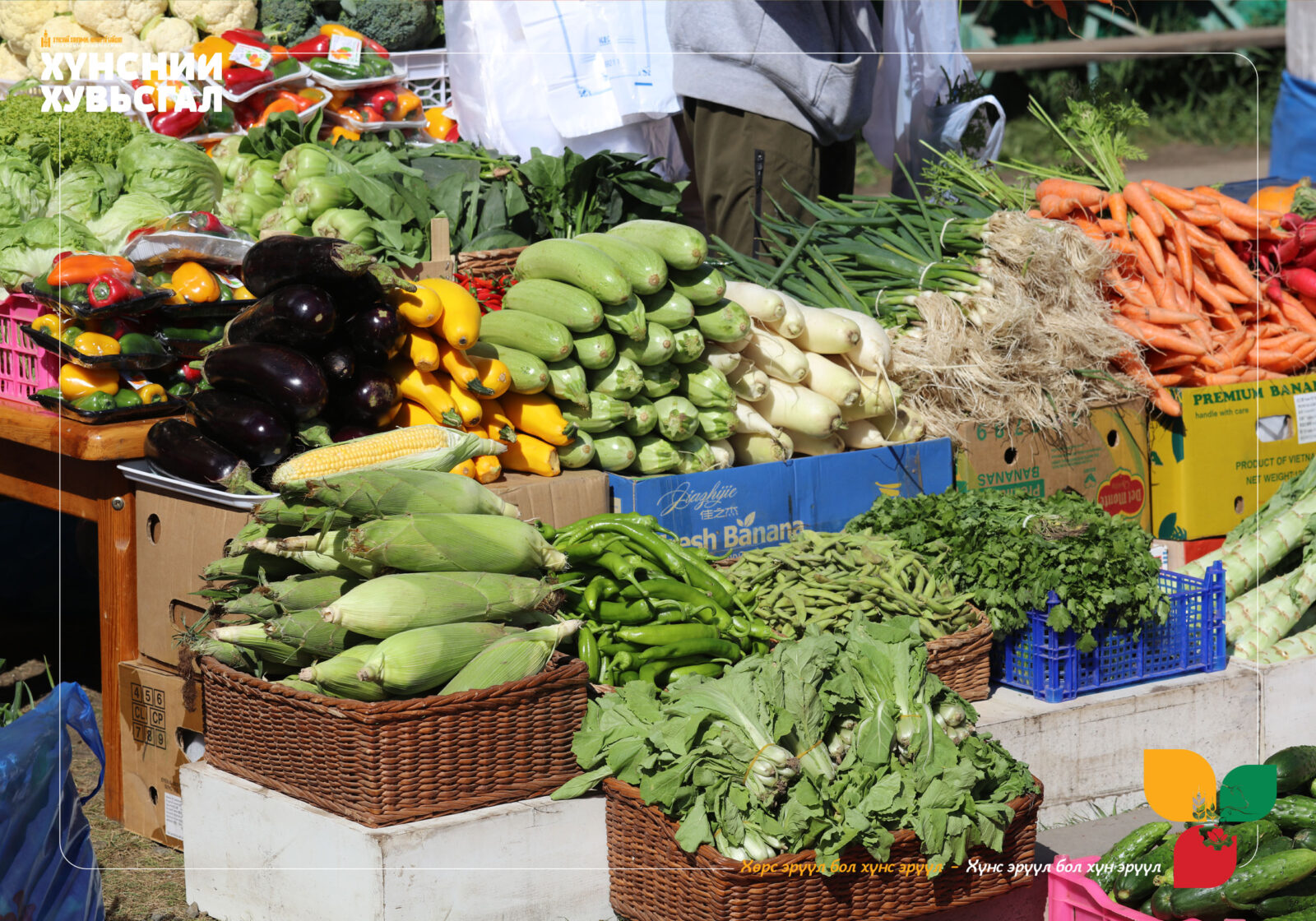 Хүнсний ногооны урамшуулалд хэрхэн хамрагдах вэ Хүнсний хувьсгал