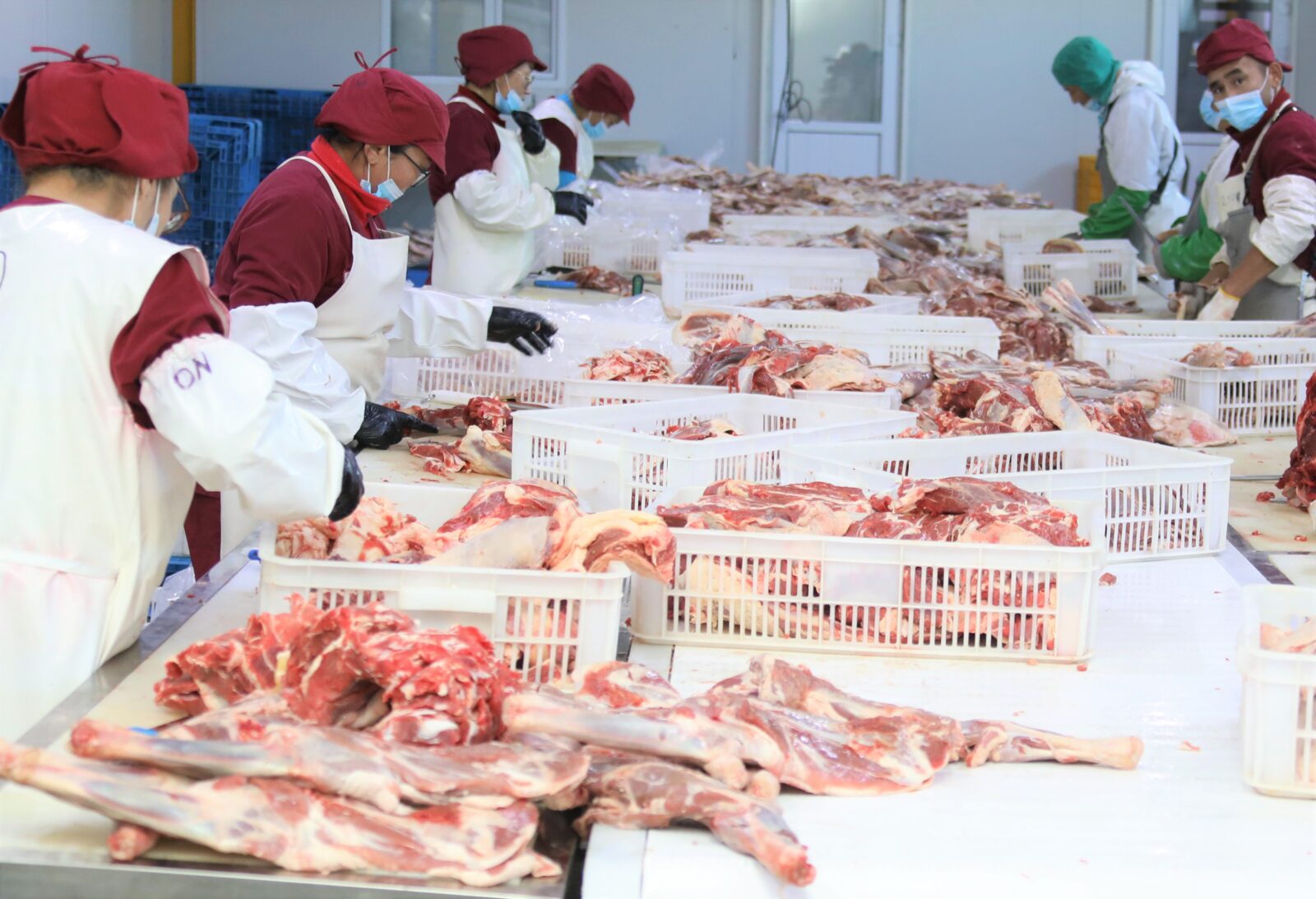 “Хүнсний хангамж аюулгүй байдал” үндэсний хөдөлгөөнд Орхон аймгийн