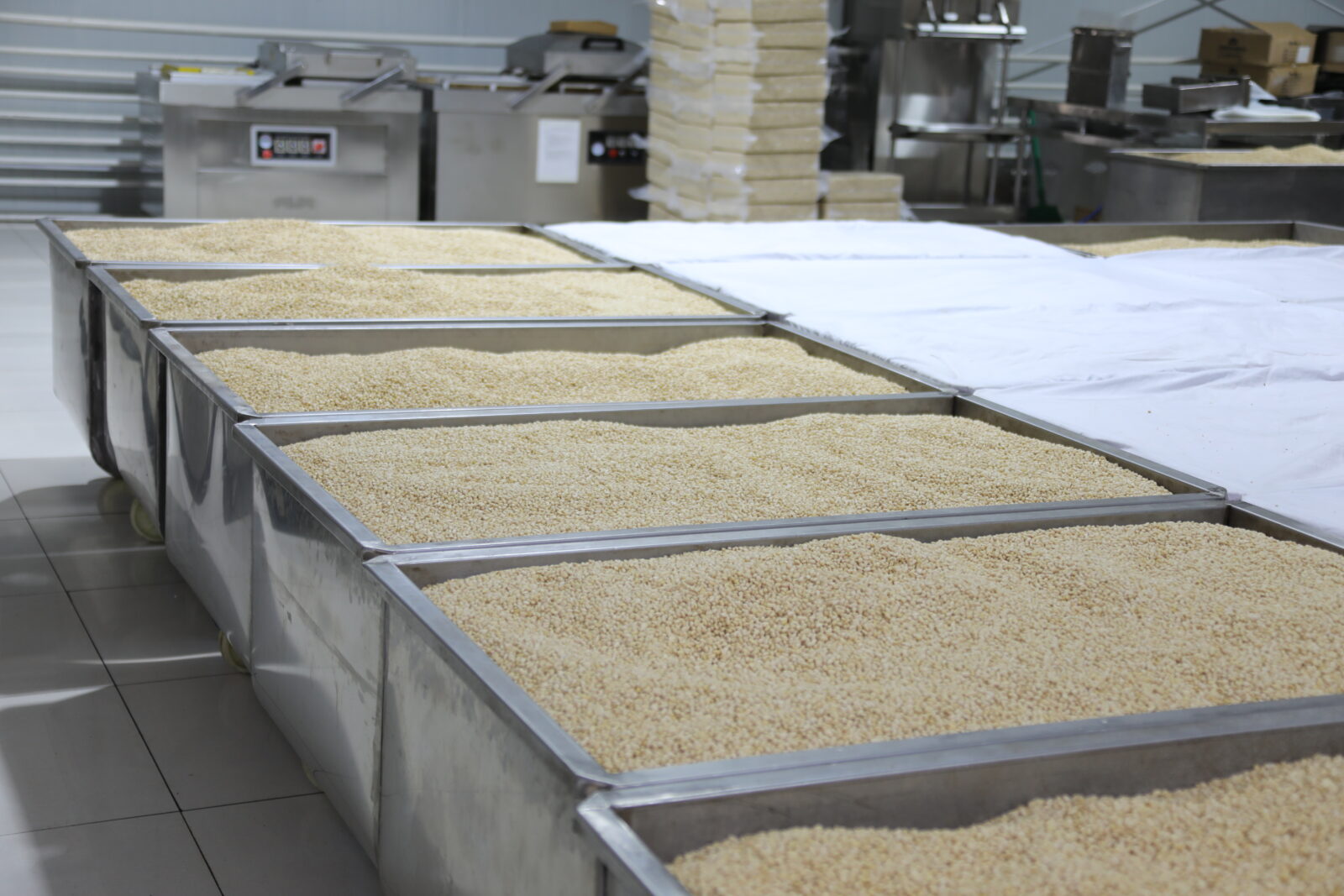 Дэлхийд эрэлттэй монгол брэнд бий болгоно