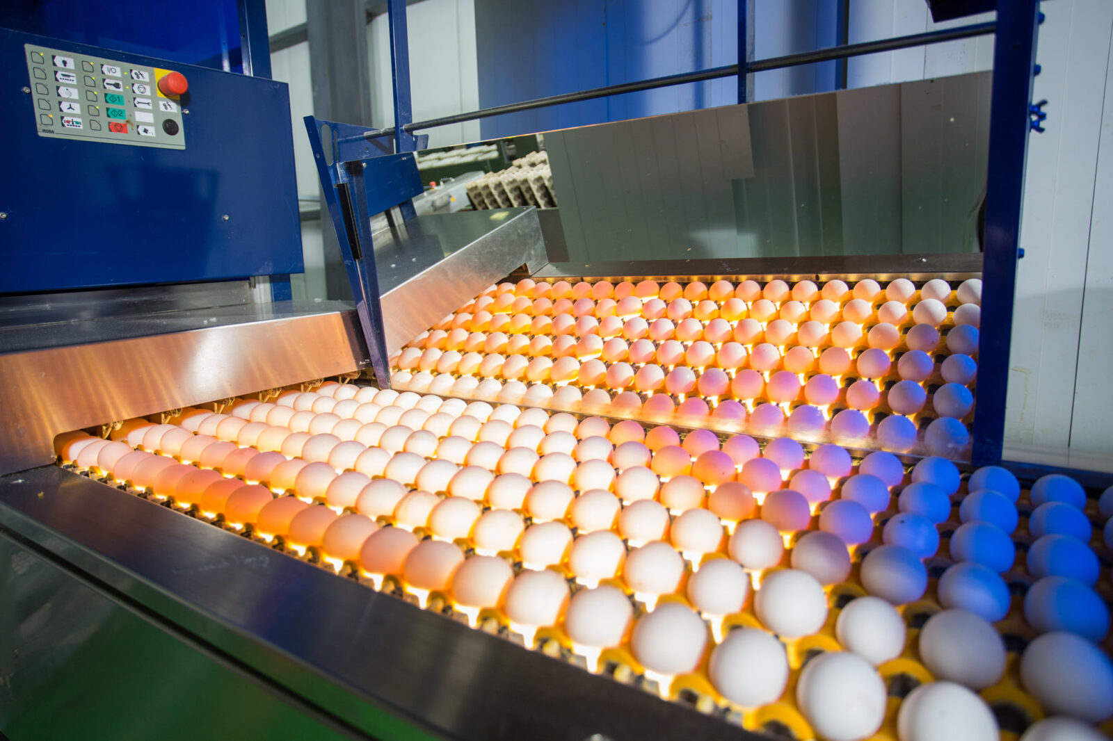 НЭГ САЯ ГАРУЙ ӨНДӨГЛӨГЧ ШУВУУТАЙ ТАХИАНЫ АЖ АХУЙ БҮРЭН АШИГЛАЛТАНД ОРСНООР ДОТООДЫН ӨНДӨГНИЙ