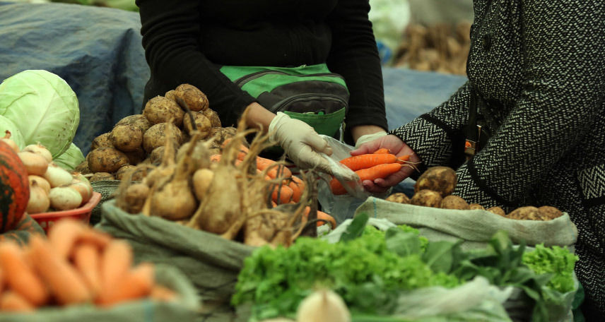 Хүнсний ногооны үйлдвэрлэлийг дэмжих талаар авах зарим арга хэмжээний тухай Хүнсний хувьсгал