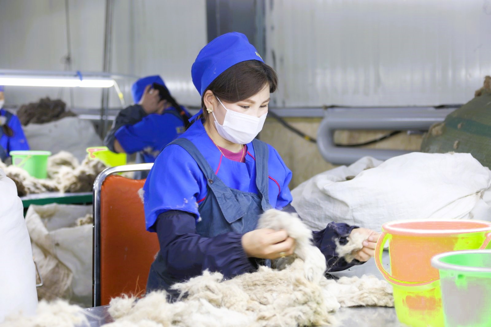 Монгол Улсын Ерөнхийлөгч Ухнаагийн Хүрэлсүх “Ханбогд Кашимер” ХХК д ажиллалаа