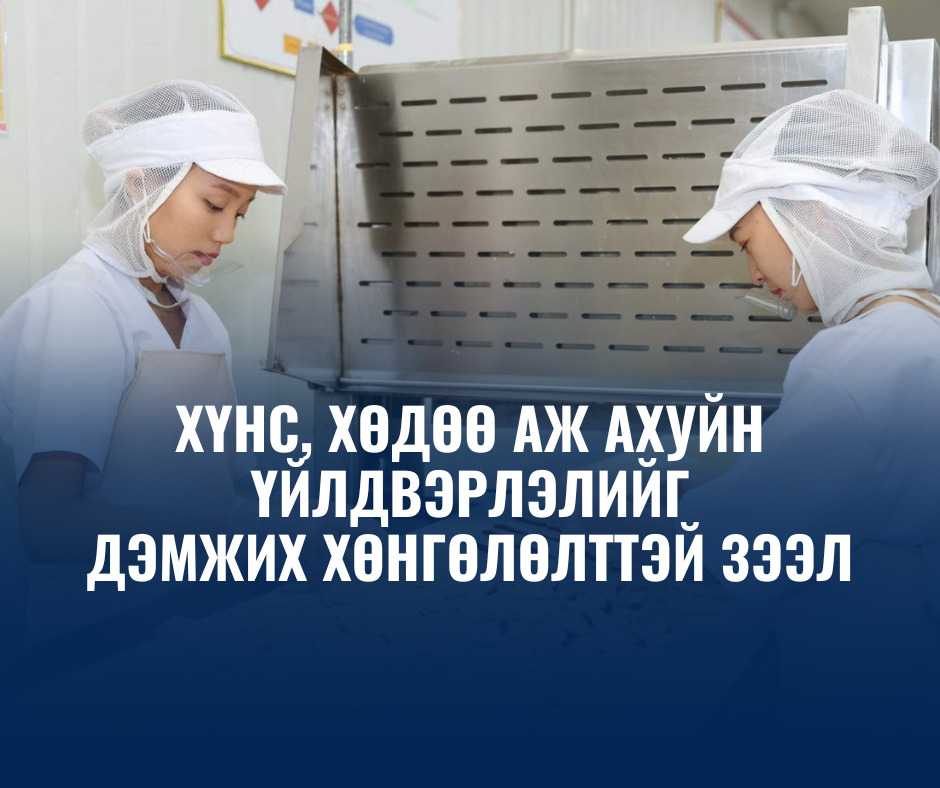 Хүнс хөдөө аж ахуйн үйлдвэрлэлийг дэмжих хөнгөлөлттэй зээл Хүнсний