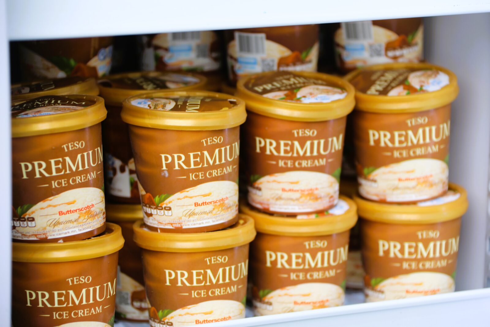 Хүнсний хувьсгал ын хүрээнд үндэсний үйлдвэрлэгчид Айсмарк компанийн зайрмаг үйлдвэрлэлийн