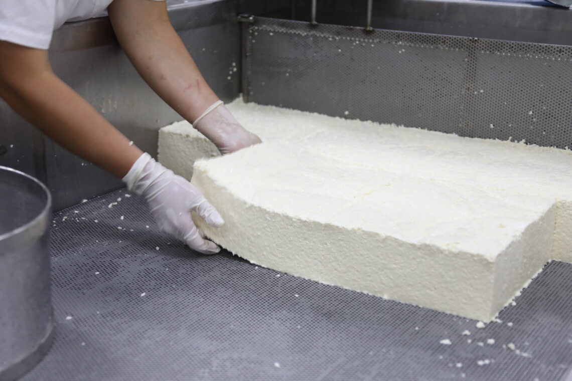 Дэлхийн стандартыг монголд нэвтрүүлэх “Монгол бяслаг” үйлдвэр орон нутагт нээлтээ хийлээ