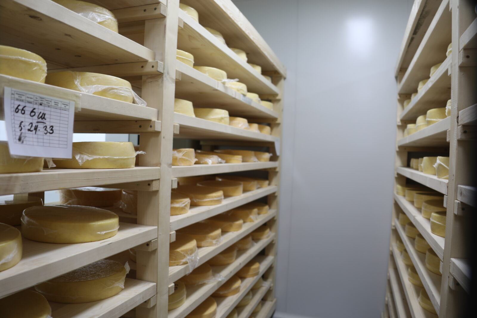 Дэлхийн стандартыг монголд нэвтрүүлэх “Монгол бяслаг” үйлдвэр орон нутагт нээлтээ хийлээ