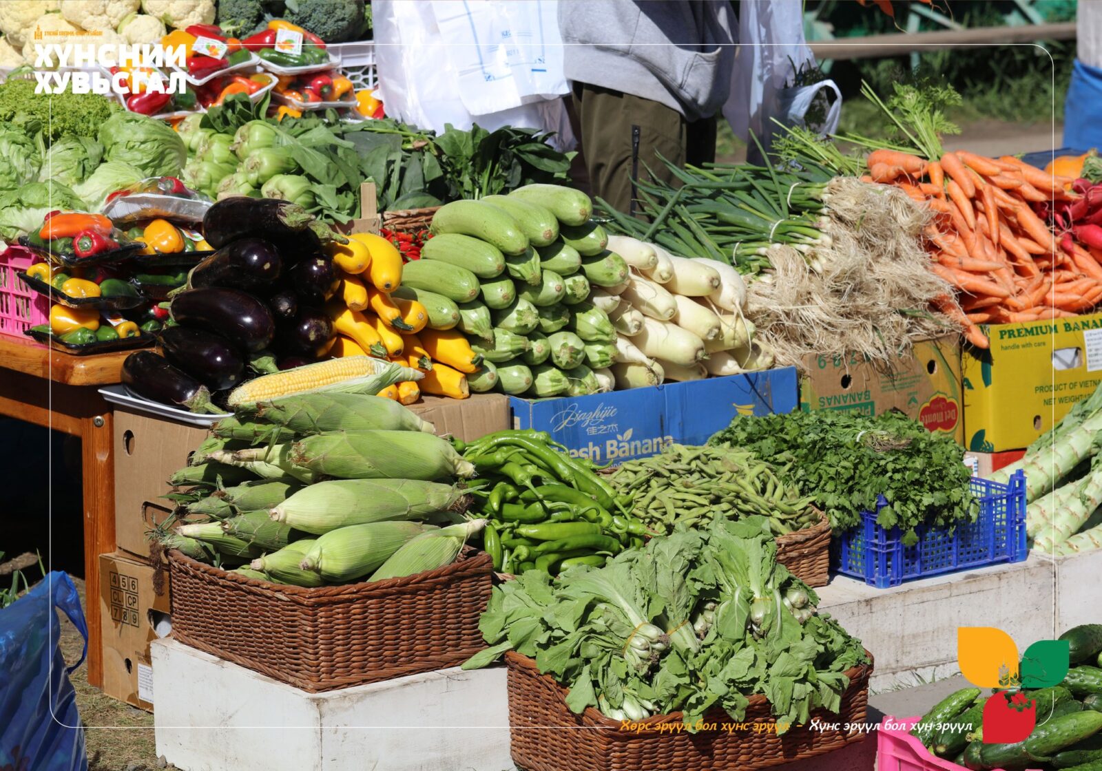 “Алтан намар 2023” хүнсний ногооны үзэсгэлэн худалдаа энэ сарын 20 ноос эхэлнэ Хүнсний хувьсгал