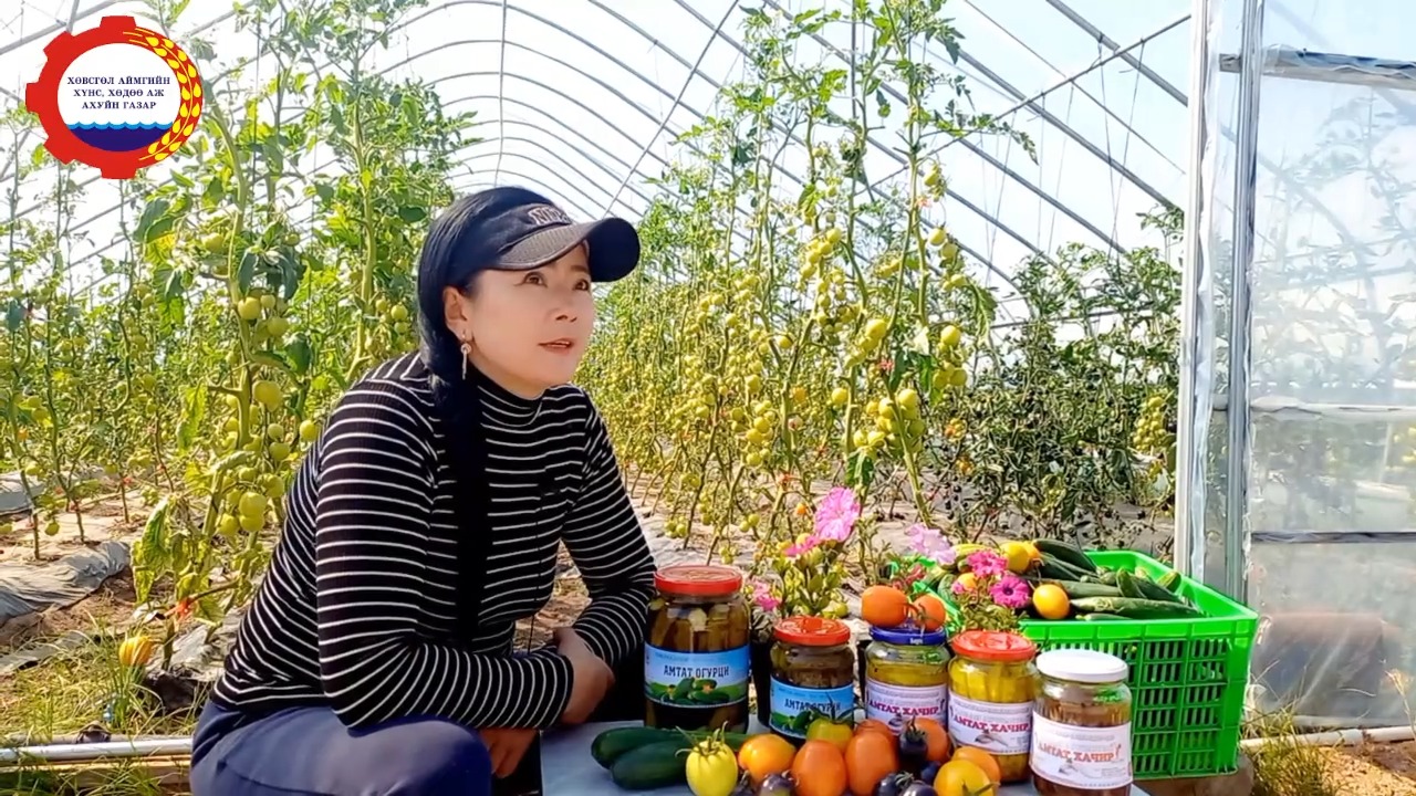 Б ПҮРЭВТУЯА Хотоос шилжин ирж хүлэмжийн болон өрхийн аж ахуй эрхлээд 6 иргэнийг байнгын 15