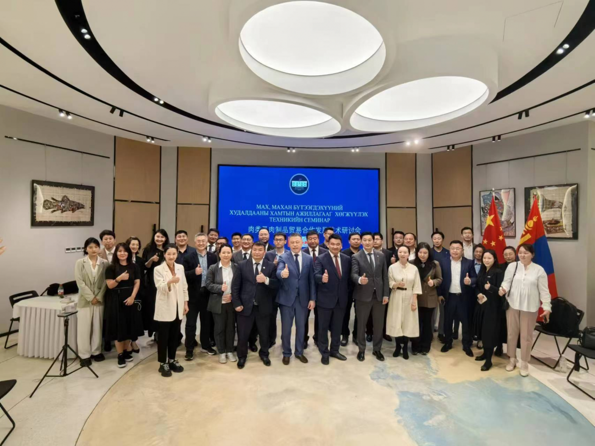 Монгол Хятадын махны холбоод уулзаж хоёр орны махны худалдааг