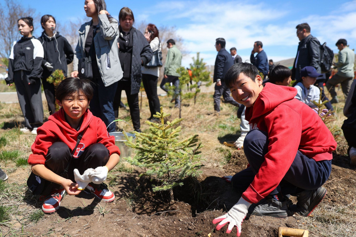 “Тэрбум мод” хөтөлбөр хэрэгжсэнээр “Үндэсний цэцэрлэгт хүрээлэн” жил бүр тарих модны тоогоо 3 5